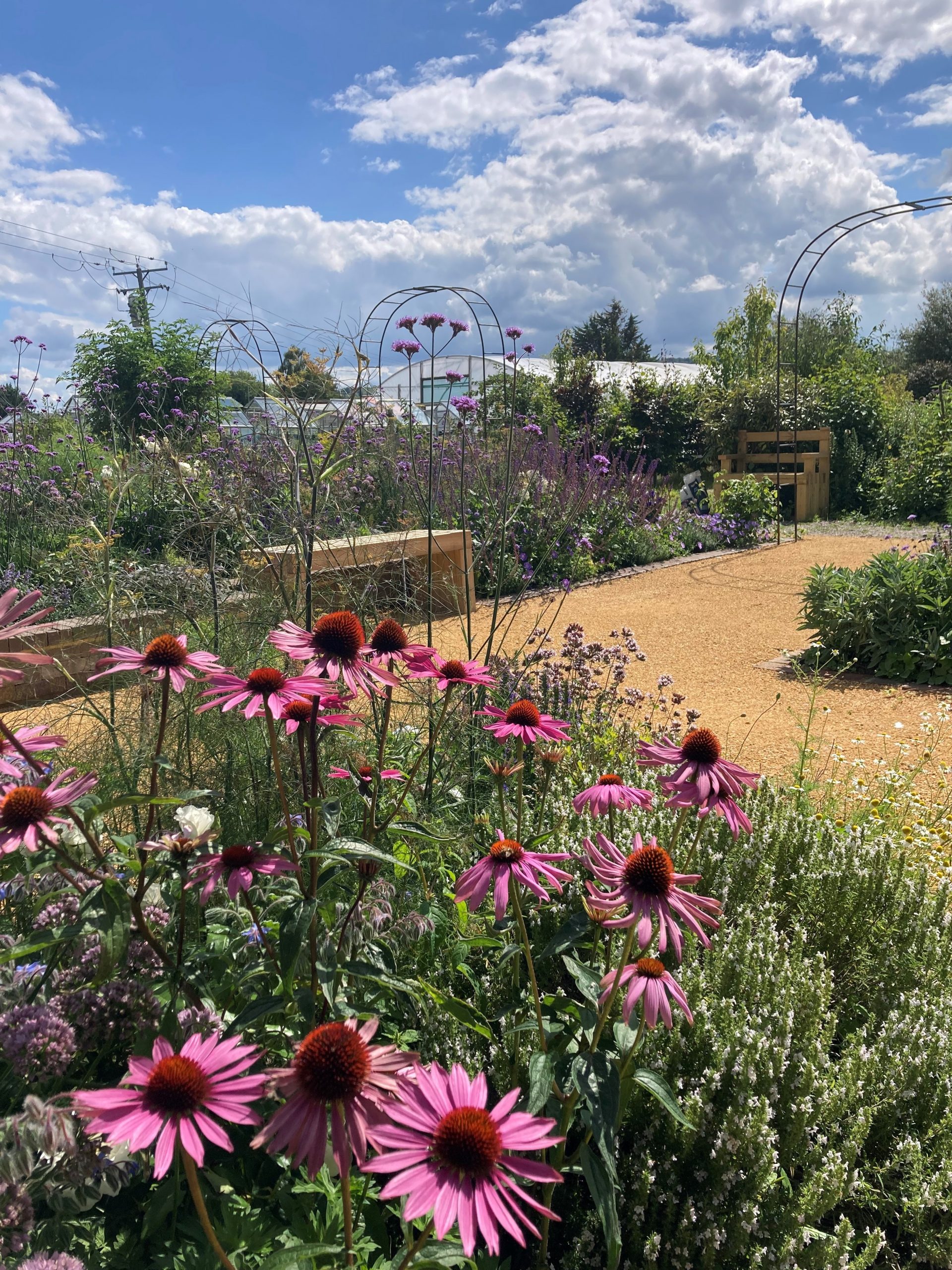 Lindengate Open Gardens and Core Programmes